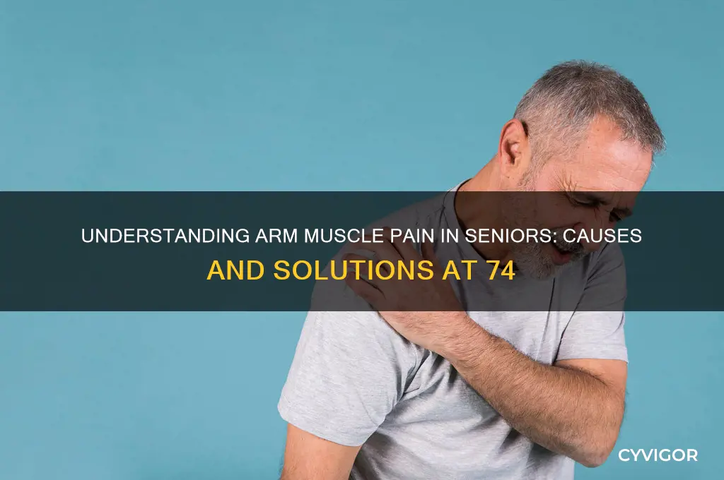 Understanding Arm Muscle Pain In Seniors: Causes And Solutions At 74 ...