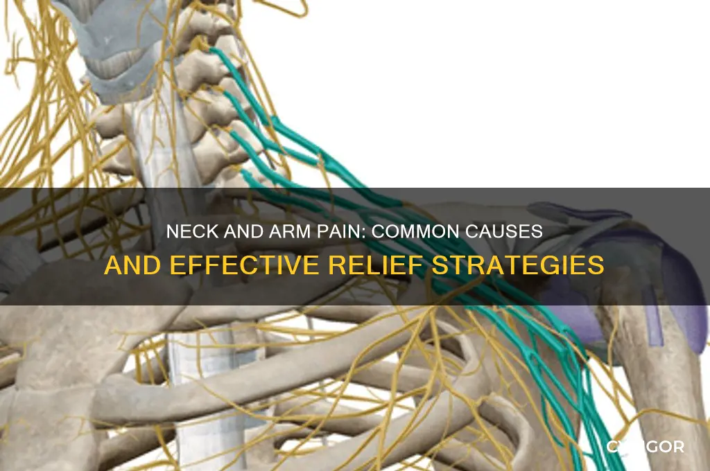 Neck And Arm Pain: Common Causes And Effective Relief Strategies | CyVigor