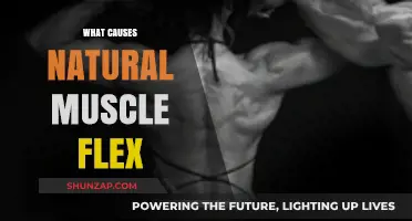 Understanding Weak Jaw Muscles: Causes Of Chewing Difficulty Explained ...