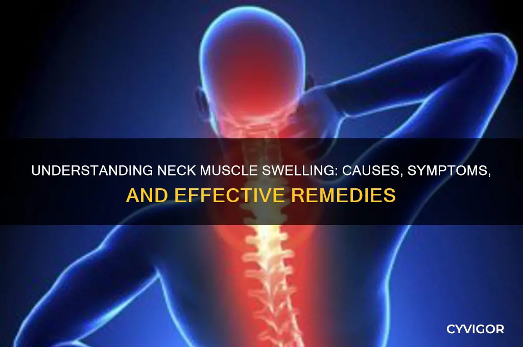 Understanding Neck Muscle Swelling: Causes, Symptoms, And Effective ...
