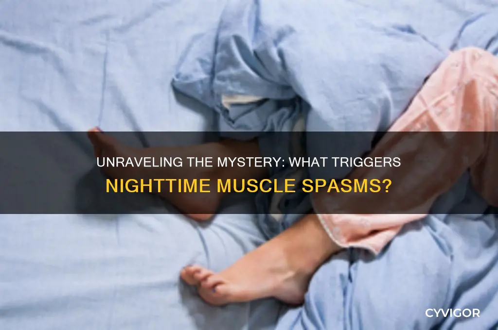 Unraveling The Mystery: What Triggers Nighttime Muscle Spasms? | CyVigor