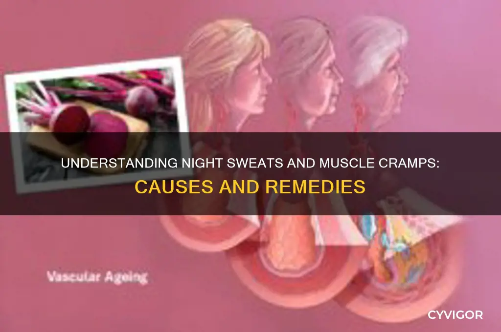 Understanding Night Sweats And Muscle Cramps: Causes And Remedies | CyVigor