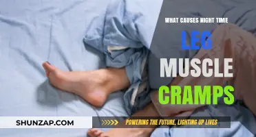 Understanding Oblique Muscle Pain: Causes, Triggers, And Prevention ...