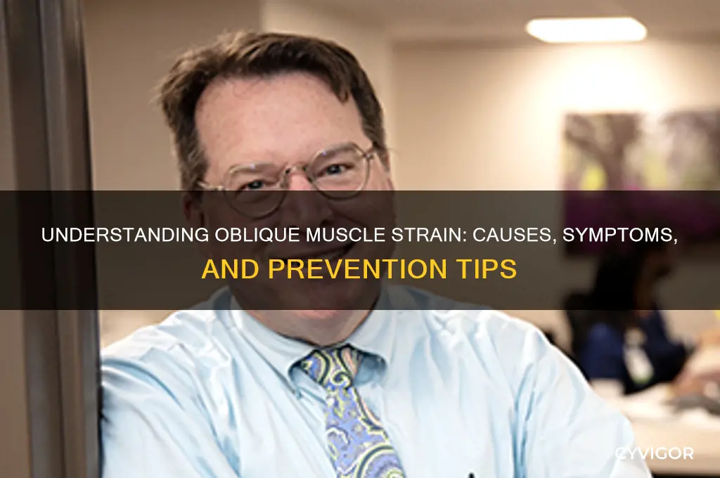 Understanding Oblique Muscle Strain: Causes, Symptoms, And Prevention ...