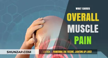 Joint And Muscle Pain: Causes And Reduced Range Of Motion Explained ...