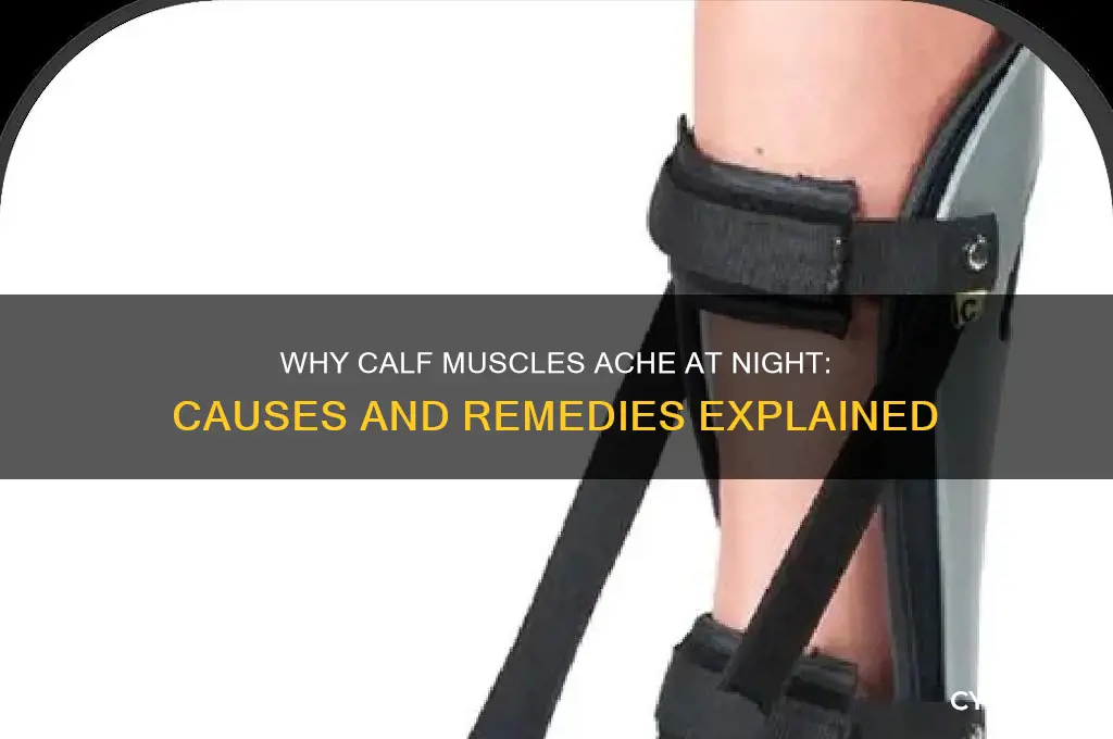 Why Calf Muscles Ache At Night: Causes And Remedies Explained | CyVigor