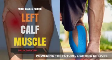 Calf Muscle Pain And Tingling: Causes And Relief Explained | CyVigor