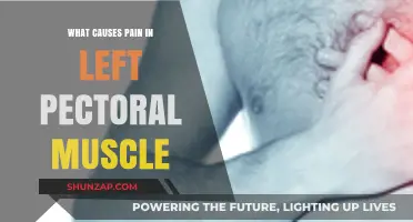 Understanding Pectoral Muscle Pain: Causes, Symptoms, And Effective ...