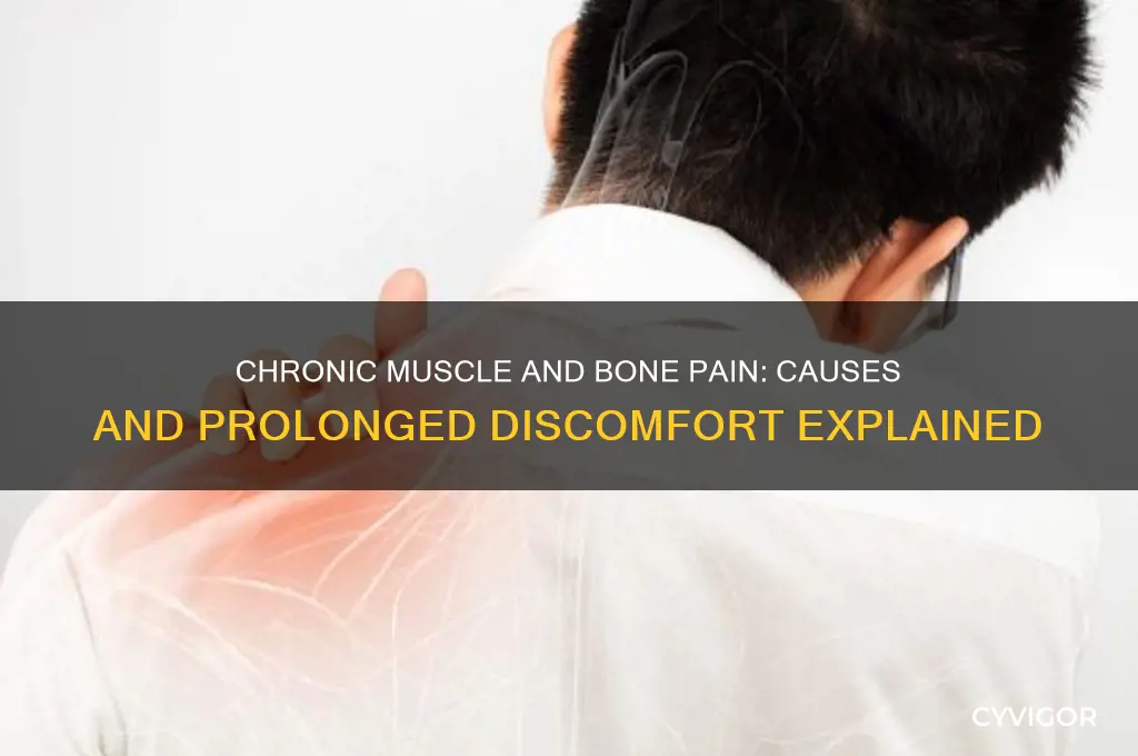 Chronic Muscle And Bone Pain: Causes And Prolonged Discomfort Explained ...