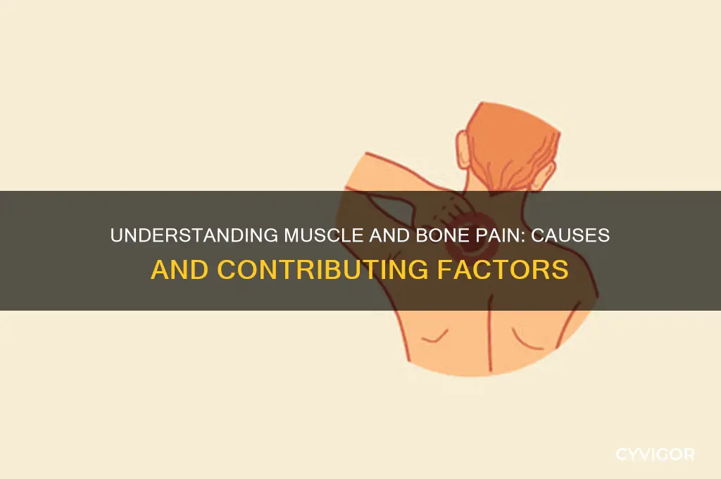 Understanding Muscle And Bone Pain: Causes And Contributing Factors ...