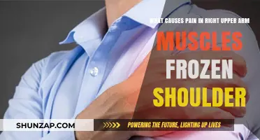 Understanding Pectoral Muscle Pain: Causes, Symptoms, And Effective ...