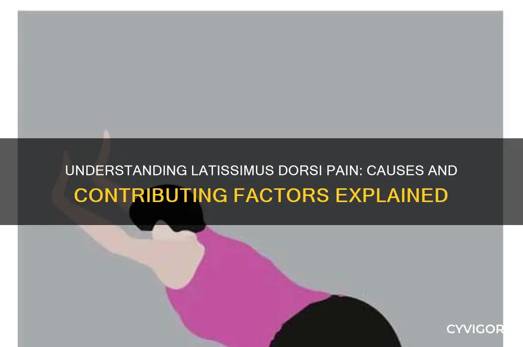 Understanding Latissimus Dorsi Pain: Causes And Contributing Factors ...
