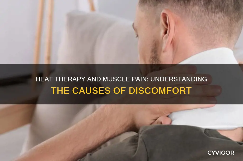 Heat Therapy And Muscle Pain: Understanding The Causes Of Discomfort ...
