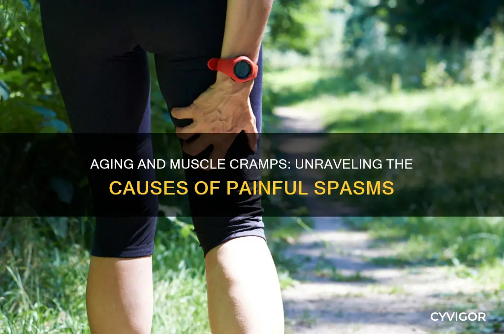Aging And Muscle Cramps: Unraveling The Causes Of Painful Spasms | CyVigor
