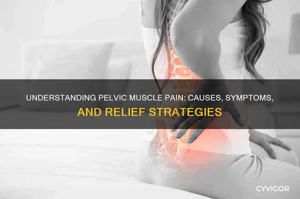 Understanding Pelvic Muscle Pain: Causes, Symptoms, And Relief ...
