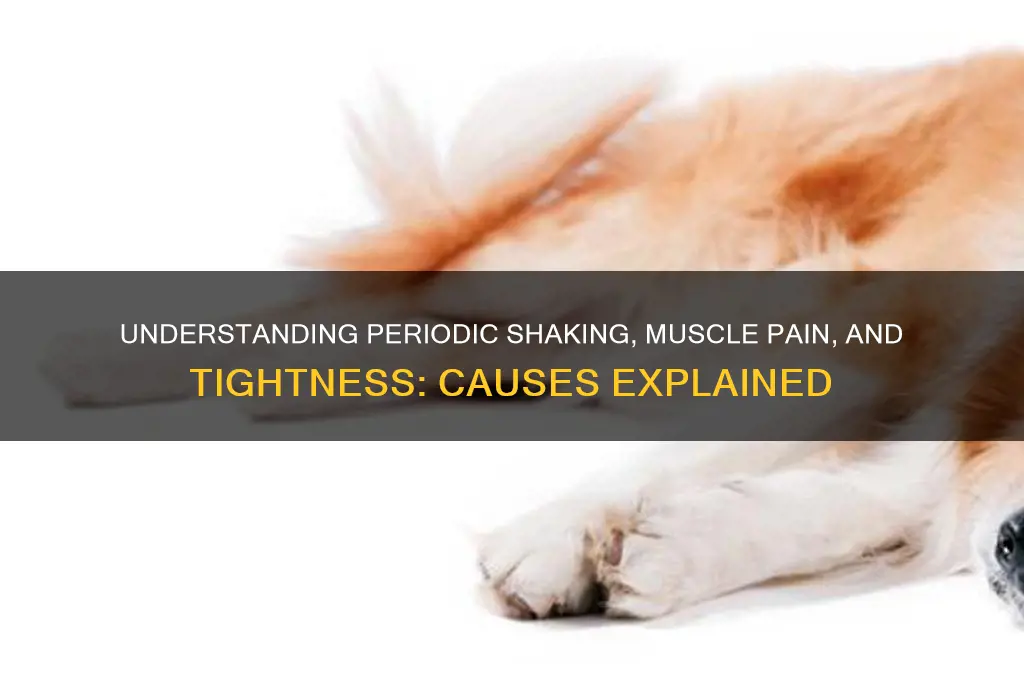 Understanding Periodic Shaking, Muscle Pain, And Tightness: Causes ...