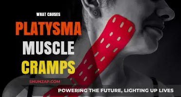 Understanding Paraspinal Muscle Spasms: Causes, Triggers, And ...