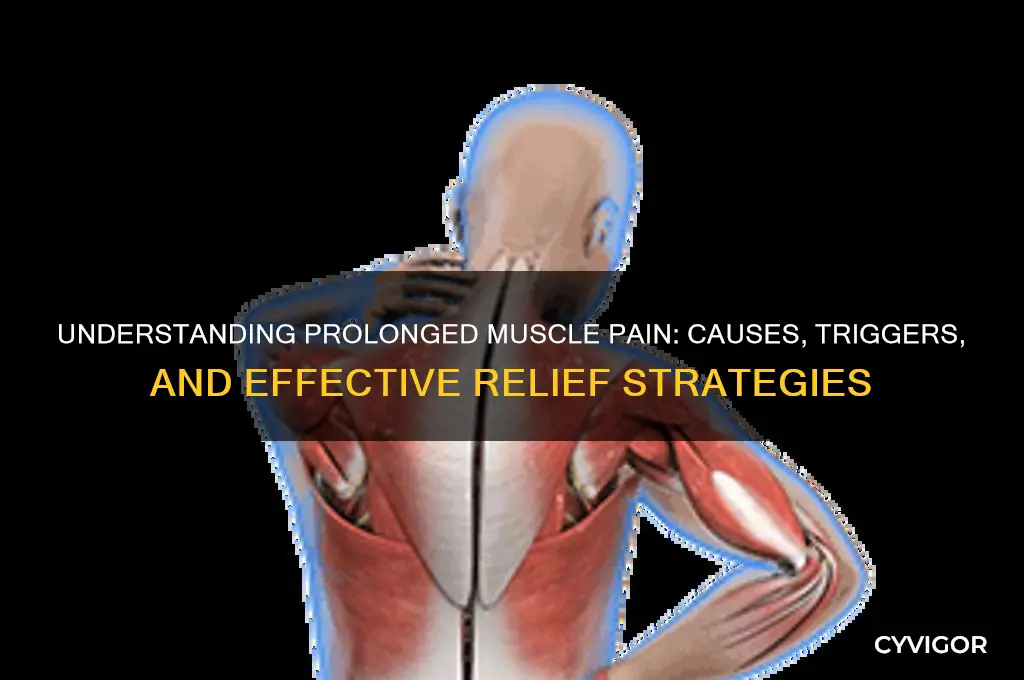 Understanding Prolonged Muscle Pain: Causes, Triggers, And Effective ...