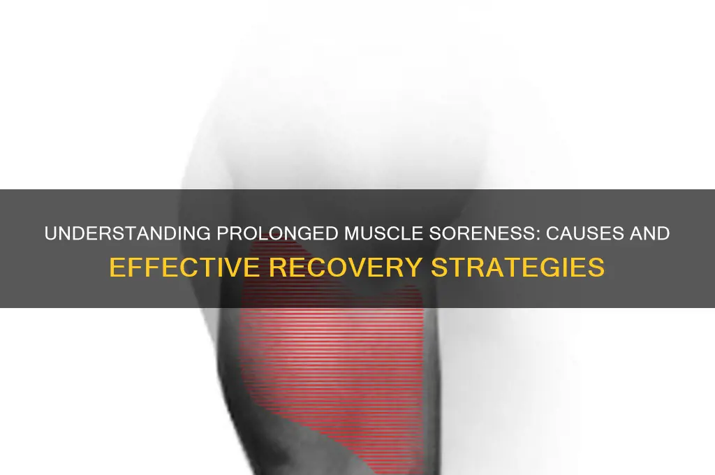 Understanding Prolonged Muscle Soreness: Causes And Effective Recovery ...