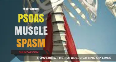 Understanding Quad Muscle Spasms: Causes, Triggers, And Prevention Tips ...