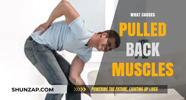 Understanding Muscle Popping: Causes And What It Means For Your Body ...