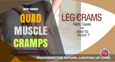Understanding Proximal Muscle Weakness: Causes, Symptoms, And Treatment ...