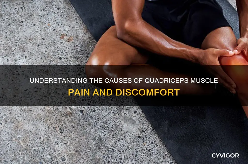 Understanding The Causes Of Quadriceps Muscle Pain And Discomfort | CyVigor