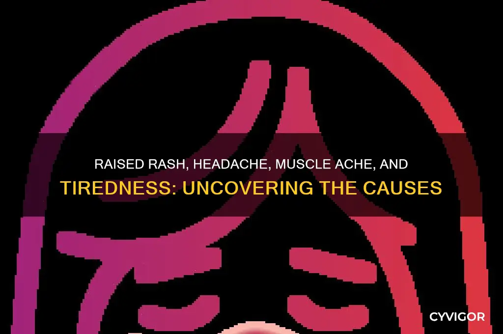 Raised Rash, Headache, Muscle Ache, And Tiredness: Uncovering The ...