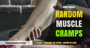 Why Do Quad Muscles Twitch? Uncovering The Causes Of Flickering Quads ...