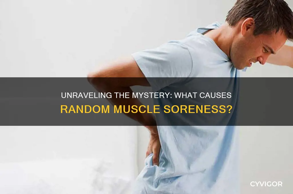 Unraveling The Mystery: What Causes Random Muscle Soreness? | CyVigor