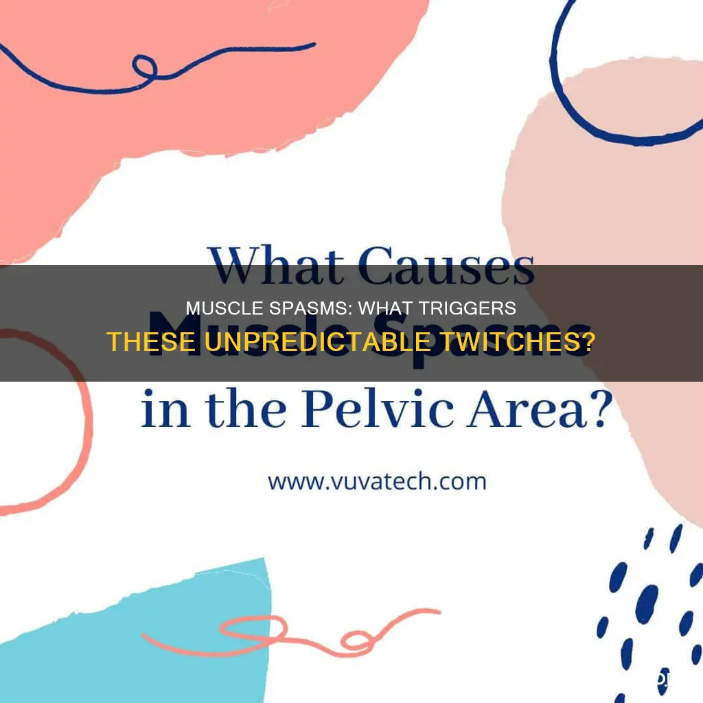 Muscle Spasms: What Triggers These Unpredictable Twitches? | CyVigor