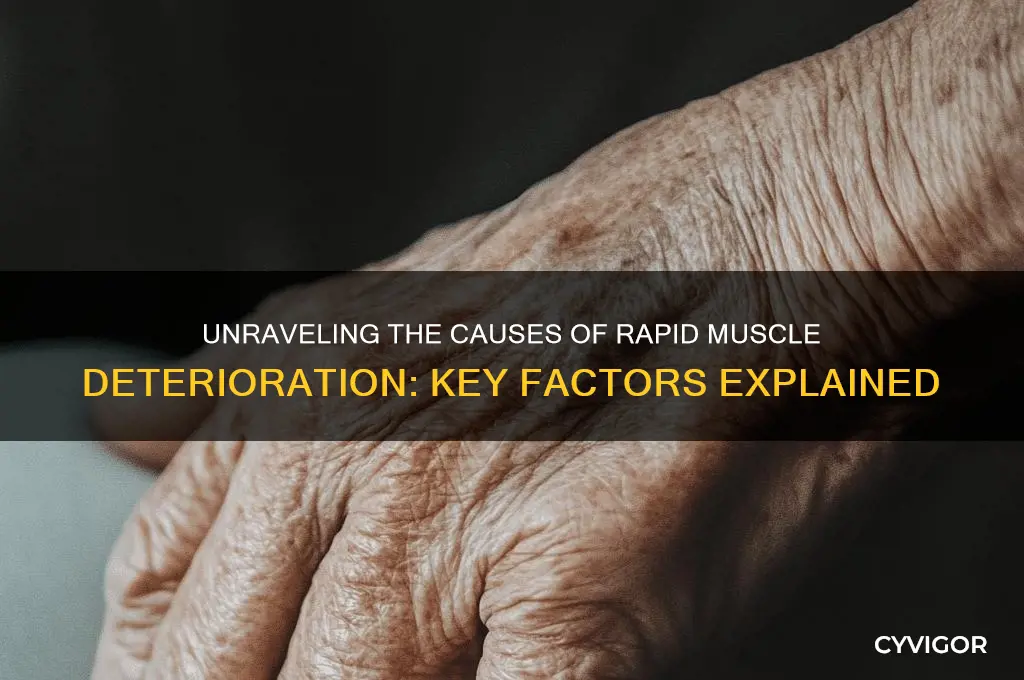 Unraveling The Causes Of Rapid Muscle Deterioration: Key Factors ...