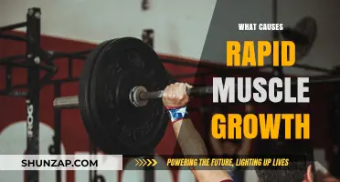 Why Do Quad Muscles Twitch? Uncovering The Causes Of Flickering Quads ...