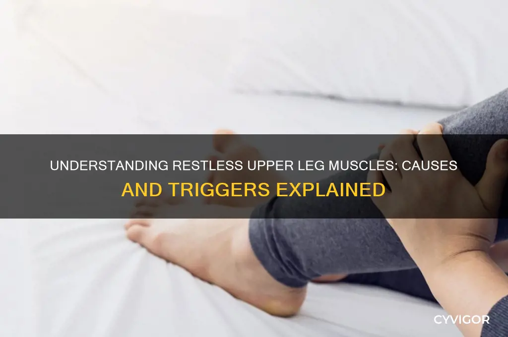 Understanding Restless Upper Leg Muscles: Causes And Triggers Explained ...