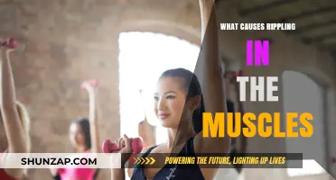 Understanding Severe Abdominal Muscle Cramps: Causes And Triggers ...