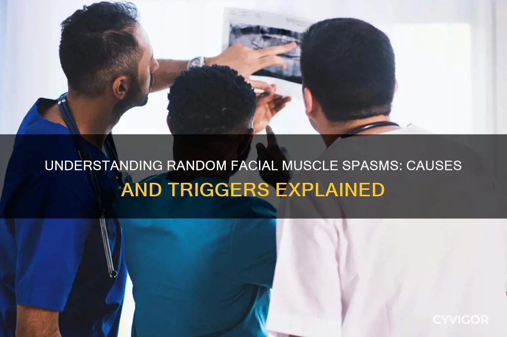 Understanding Random Facial Muscle Spasms: Causes And Triggers ...