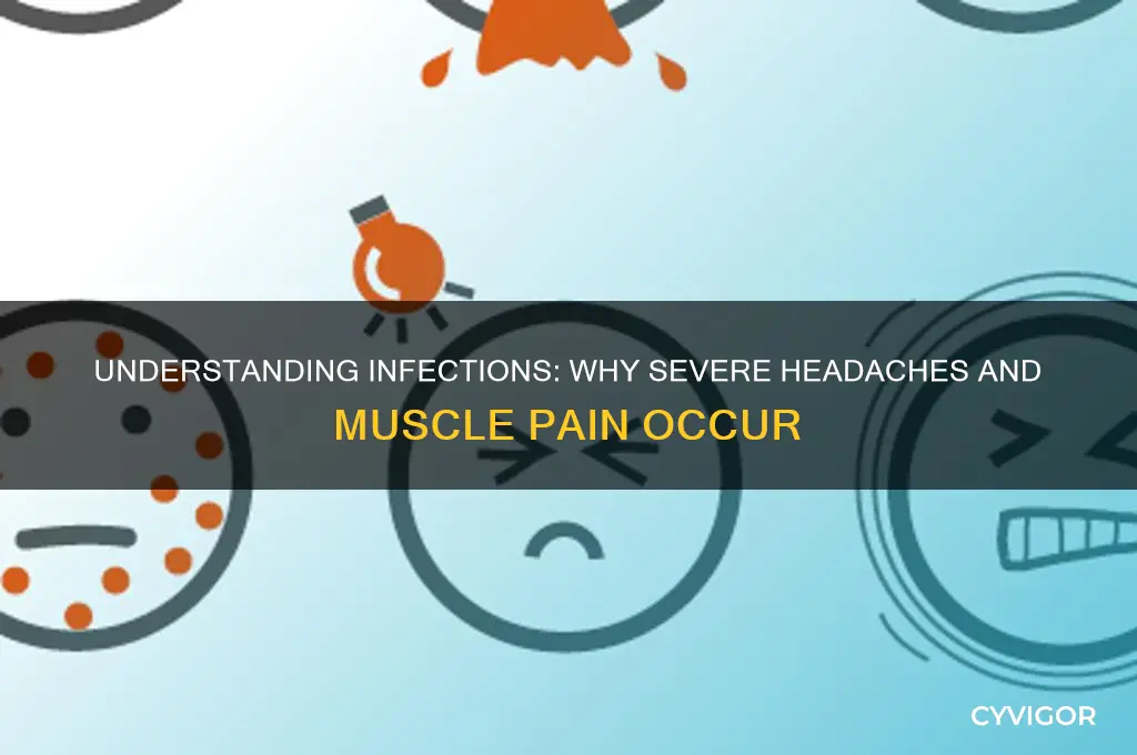 Understanding Infections: Why Severe Headaches And Muscle Pain Occur ...