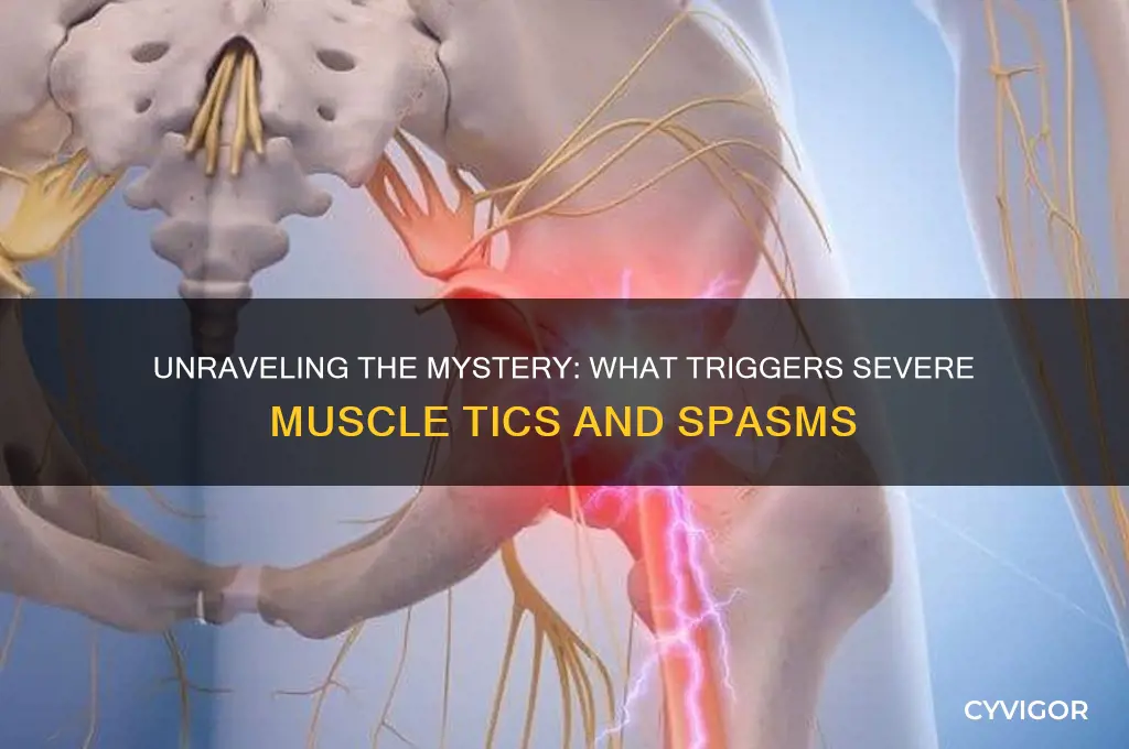 Unraveling The Mystery: What Triggers Severe Muscle Tics And Spasms ...