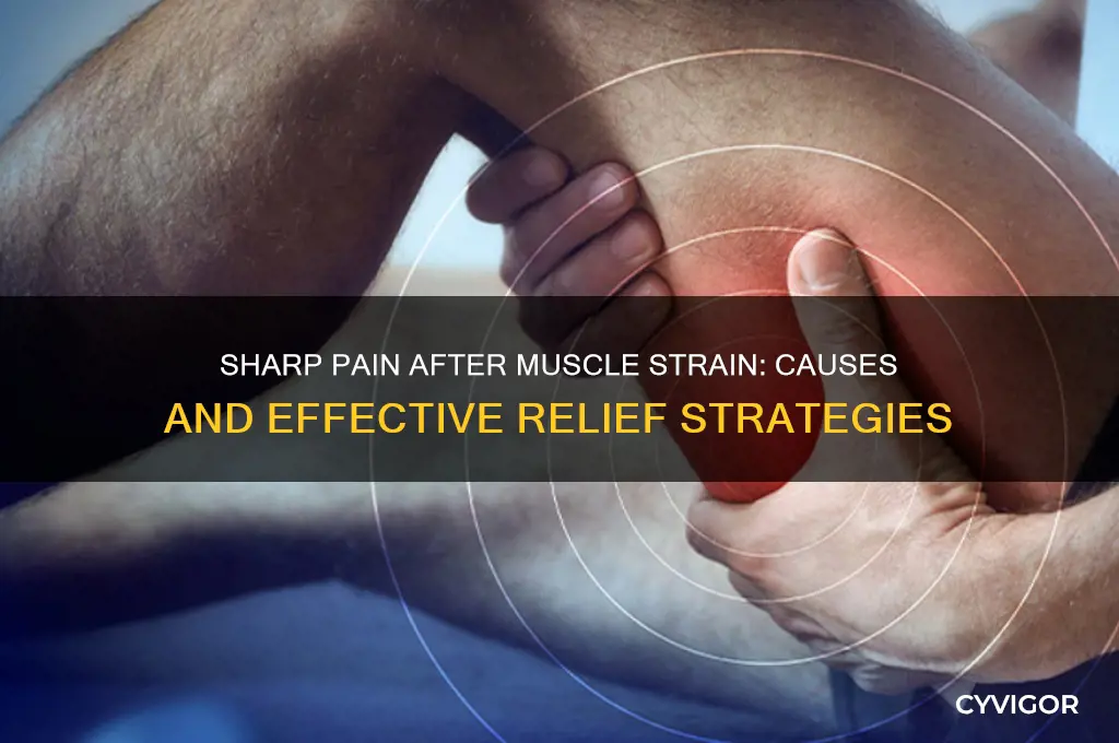 Sharp Pain After Muscle Strain: Causes And Effective Relief Strategies ...