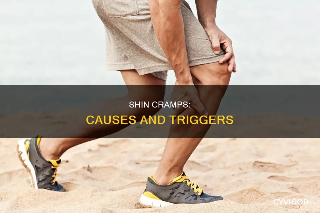 Shin Cramps: Causes And Triggers | CyVigor