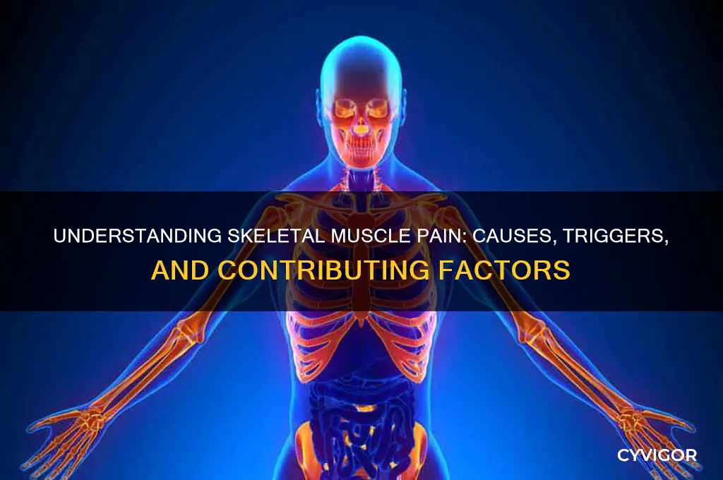 Understanding Skeletal Muscle Pain: Causes, Triggers, And Contributing ...