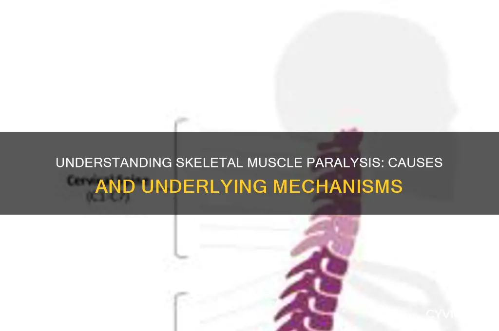 Understanding Skeletal Muscle Paralysis: Causes And Underlying ...