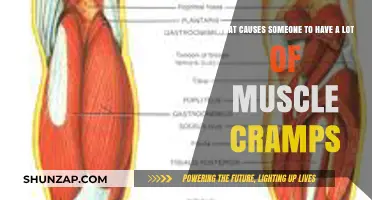 Understanding Smooth Muscle Contraction: Key Triggers And Mechanisms ...