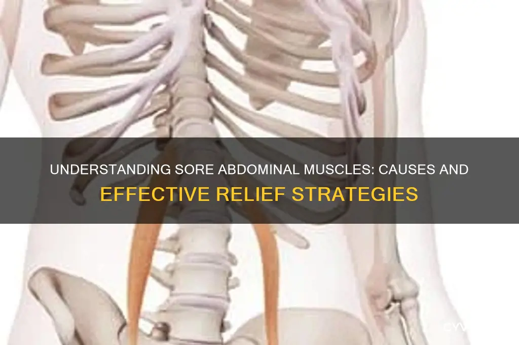 Understanding Sore Abdominal Muscles: Causes And Effective Relief ...