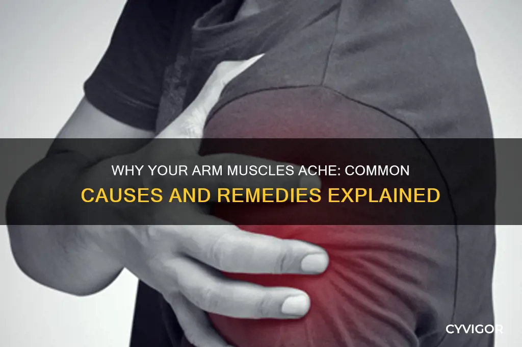 Why Your Arm Muscles Ache: Common Causes And Remedies Explained | CyVigor