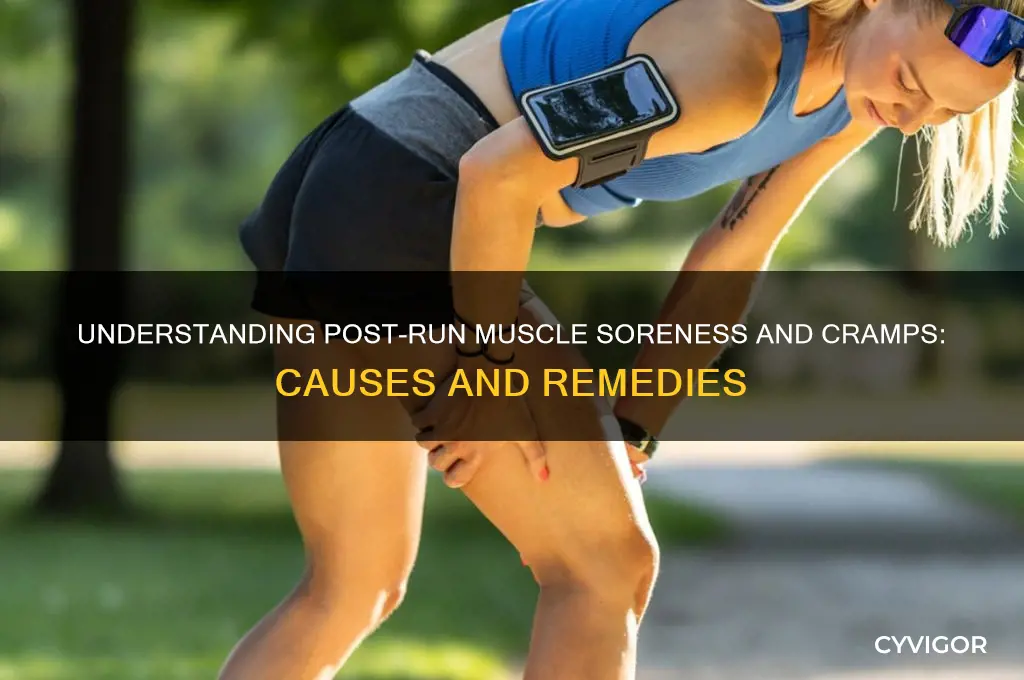Understanding Post-Run Muscle Soreness And Cramps: Causes And Remedies ...