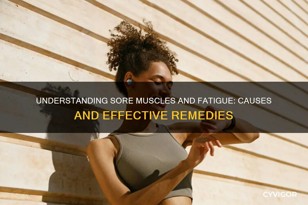 Understanding Sore Muscles And Fatigue: Causes And Effective Remedies ...