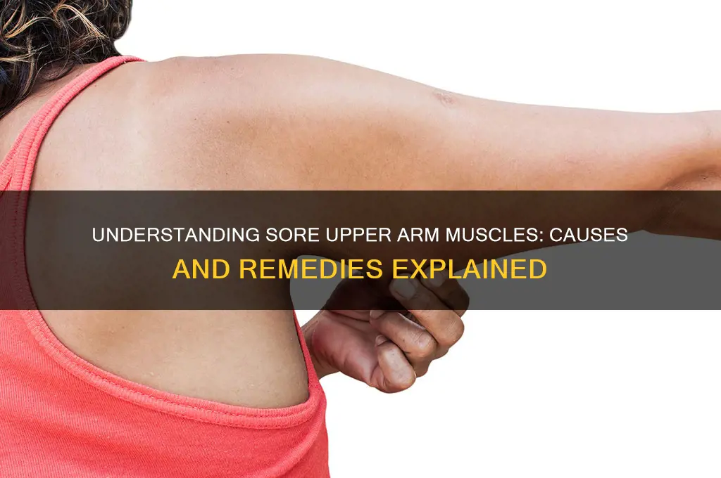 Understanding Sore Upper Arm Muscles: Causes And Remedies Explained ...