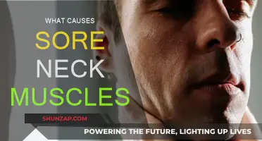 Muscle Wasting: Diseases And Disorders That Cause Atrophy | CyVigor