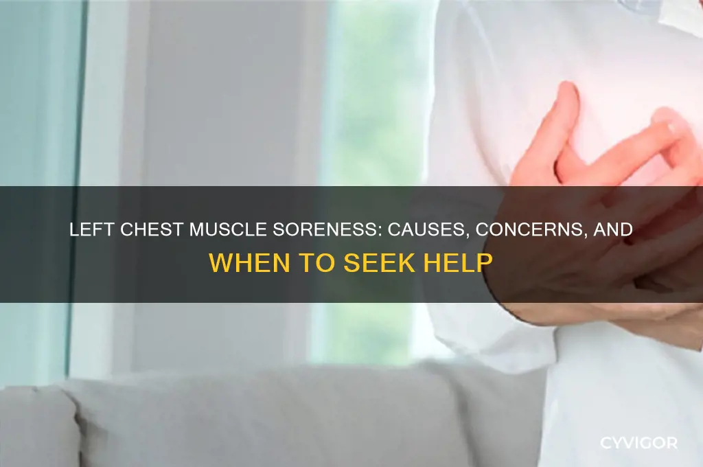 Left Chest Muscle Soreness: Causes, Concerns, And When To Seek Help ...